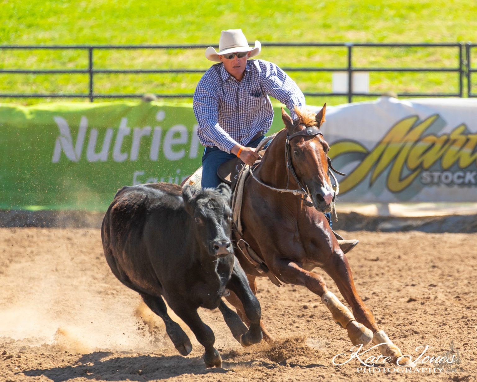 Raikkonen Breeding Contract - Wilmor Downs Equine Breeding Services